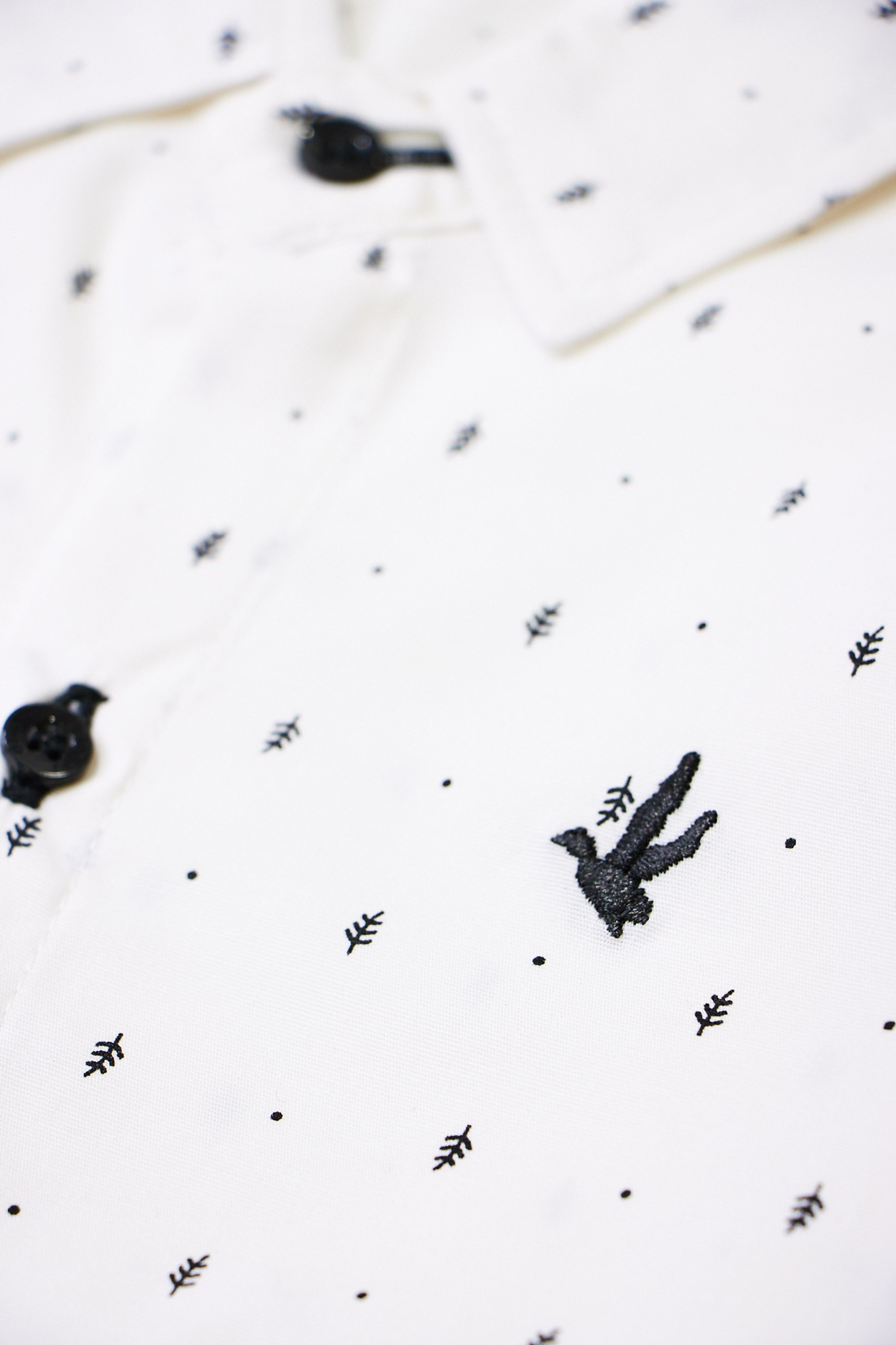 Blueley Mayorista | Bebés, niños y teens